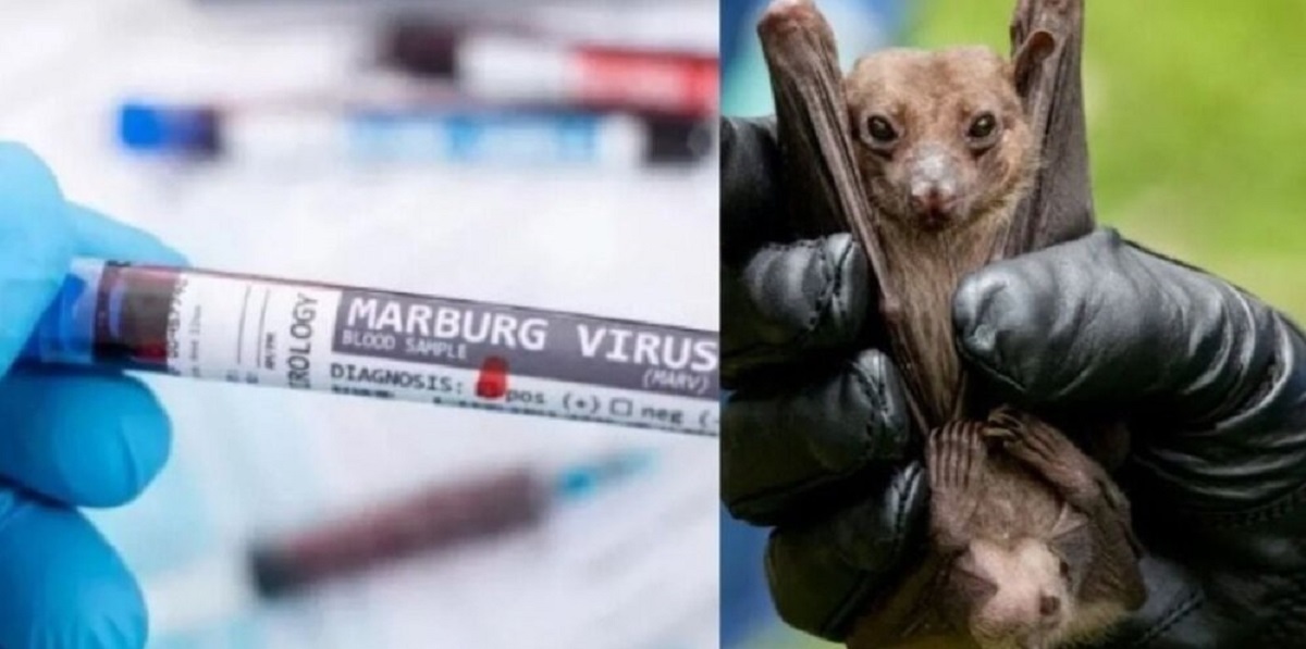 زنگ خطر همه گیری ویروس کُشنده زامبی! | سایت انتخاب